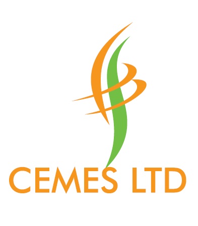 Ideon Limited TZ - About